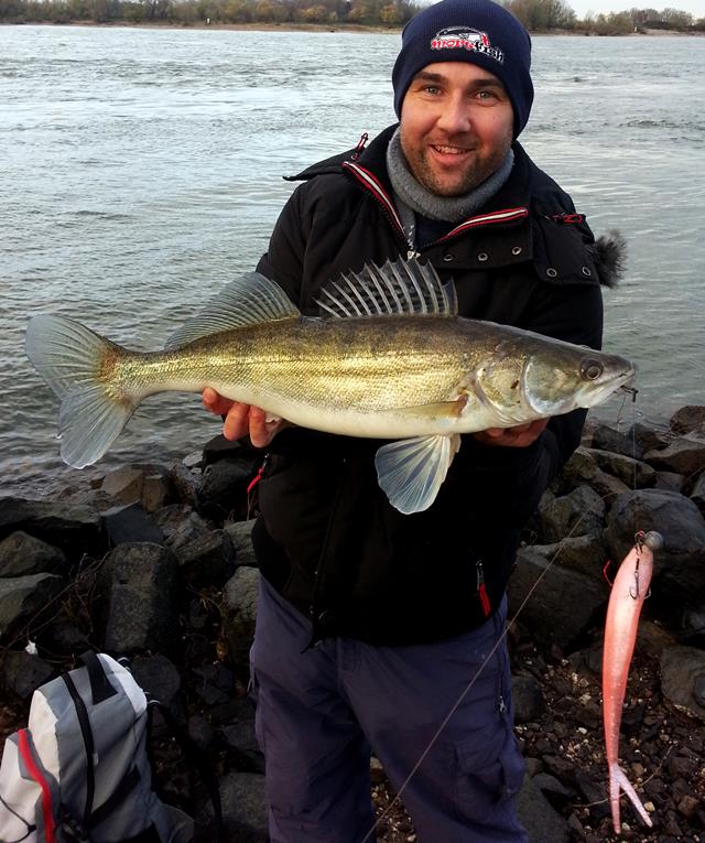 Zanderangeln im Winter am Rhein